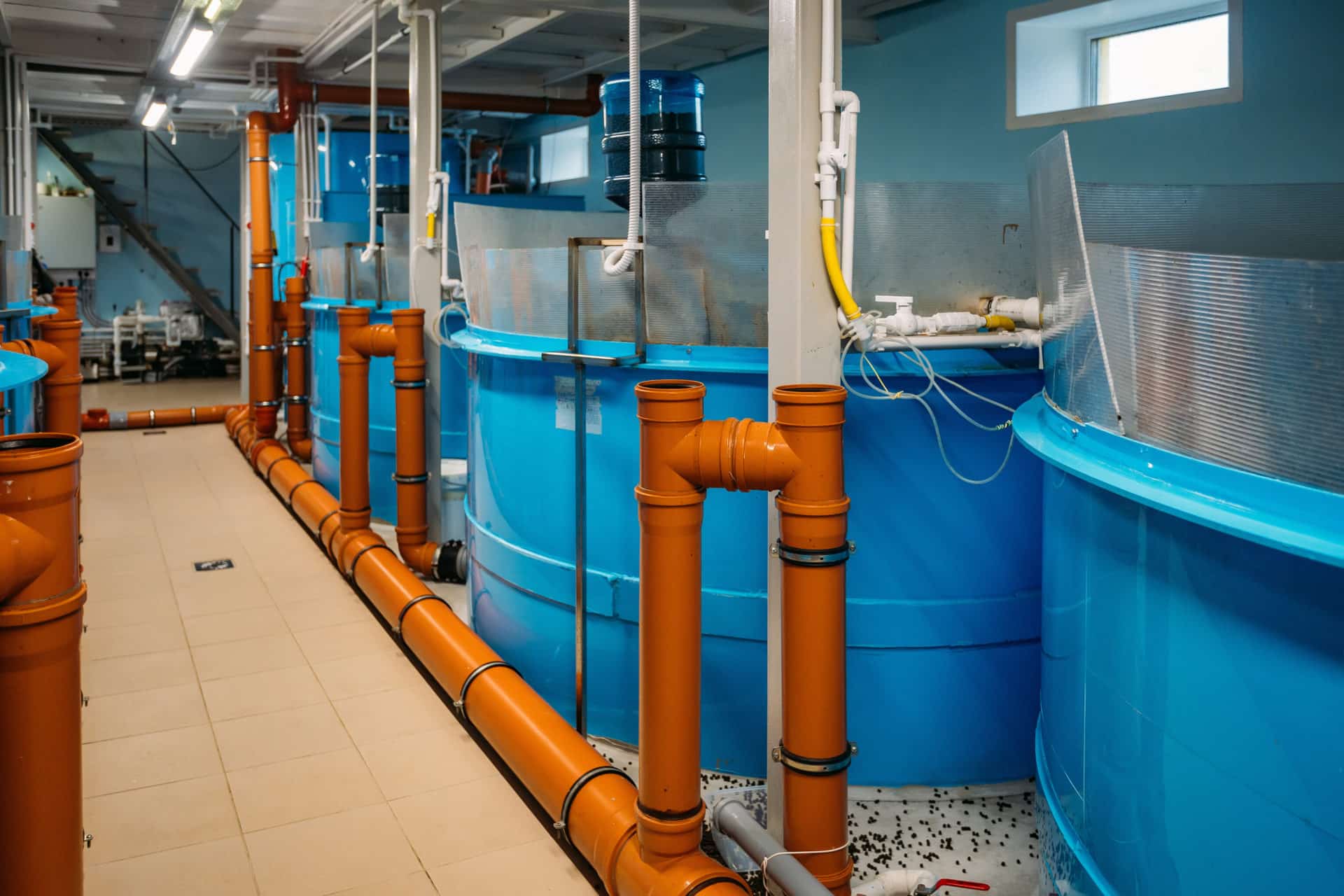 Seafood - FoodSafe Drains