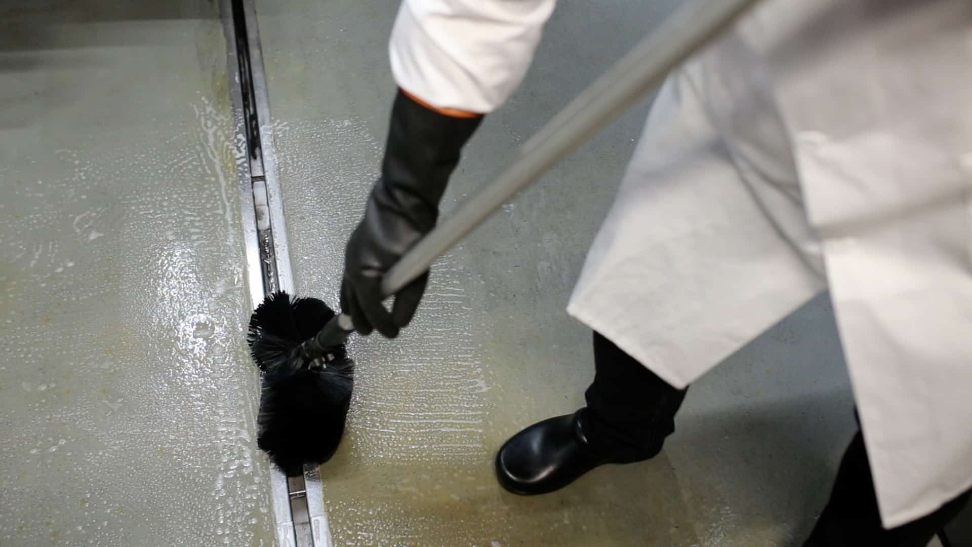 Slot Drain Cleaning Brush - FoodSafe Drains